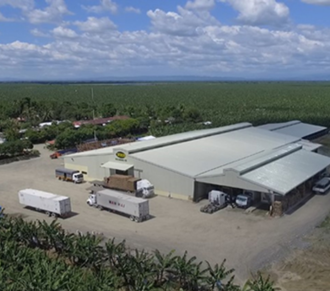 GGN - CERTIFIED AGRICULTURE